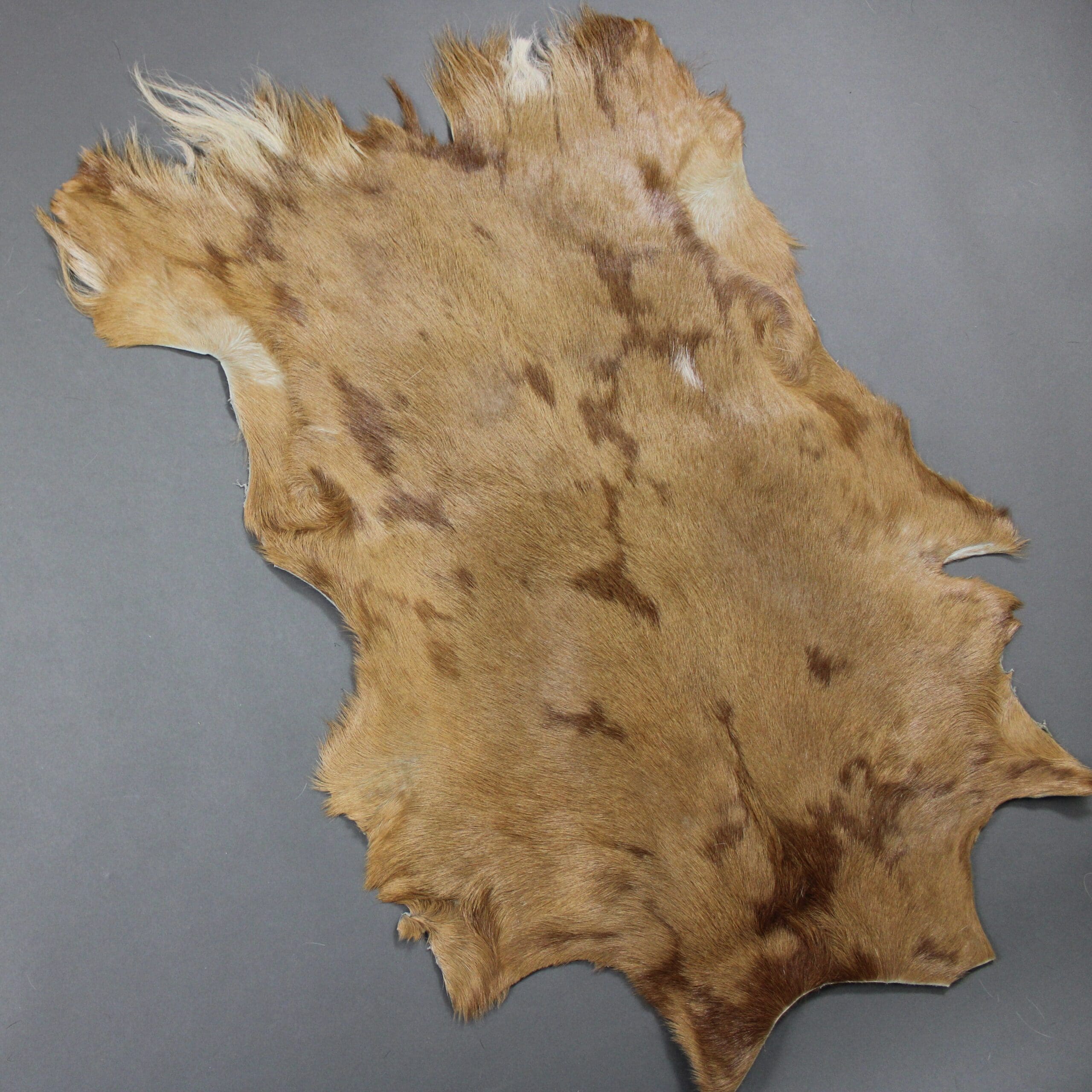 Small Natural Goatskin Rug - Brown, Ivory and Cream