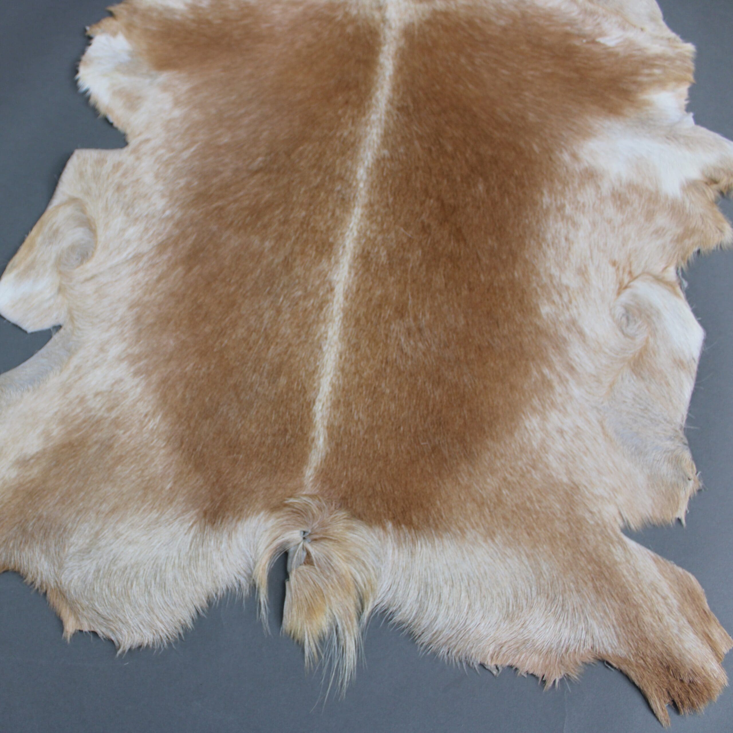 Goatskin Rug G1061 - Hide Rugs