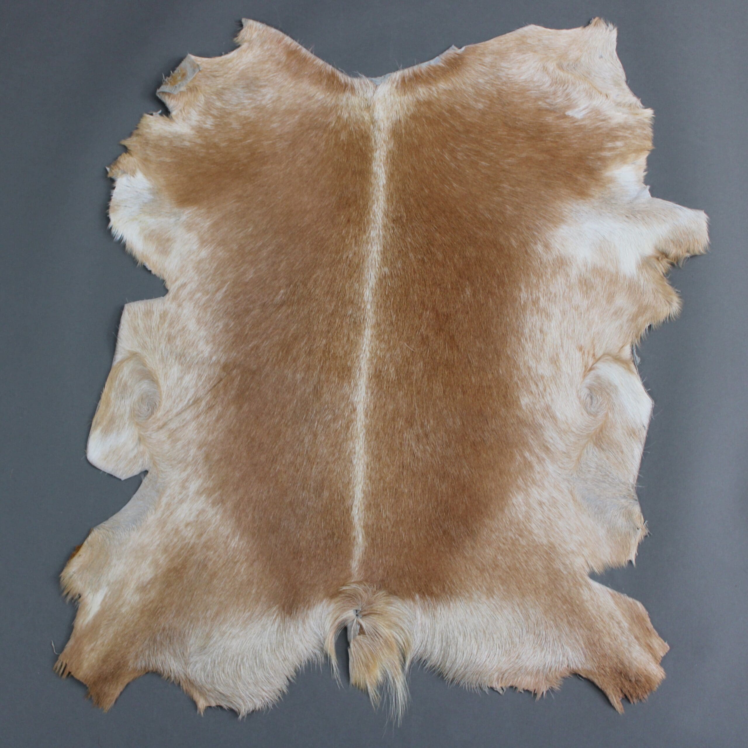 Goatskin Rug G1061 - Hide Rugs