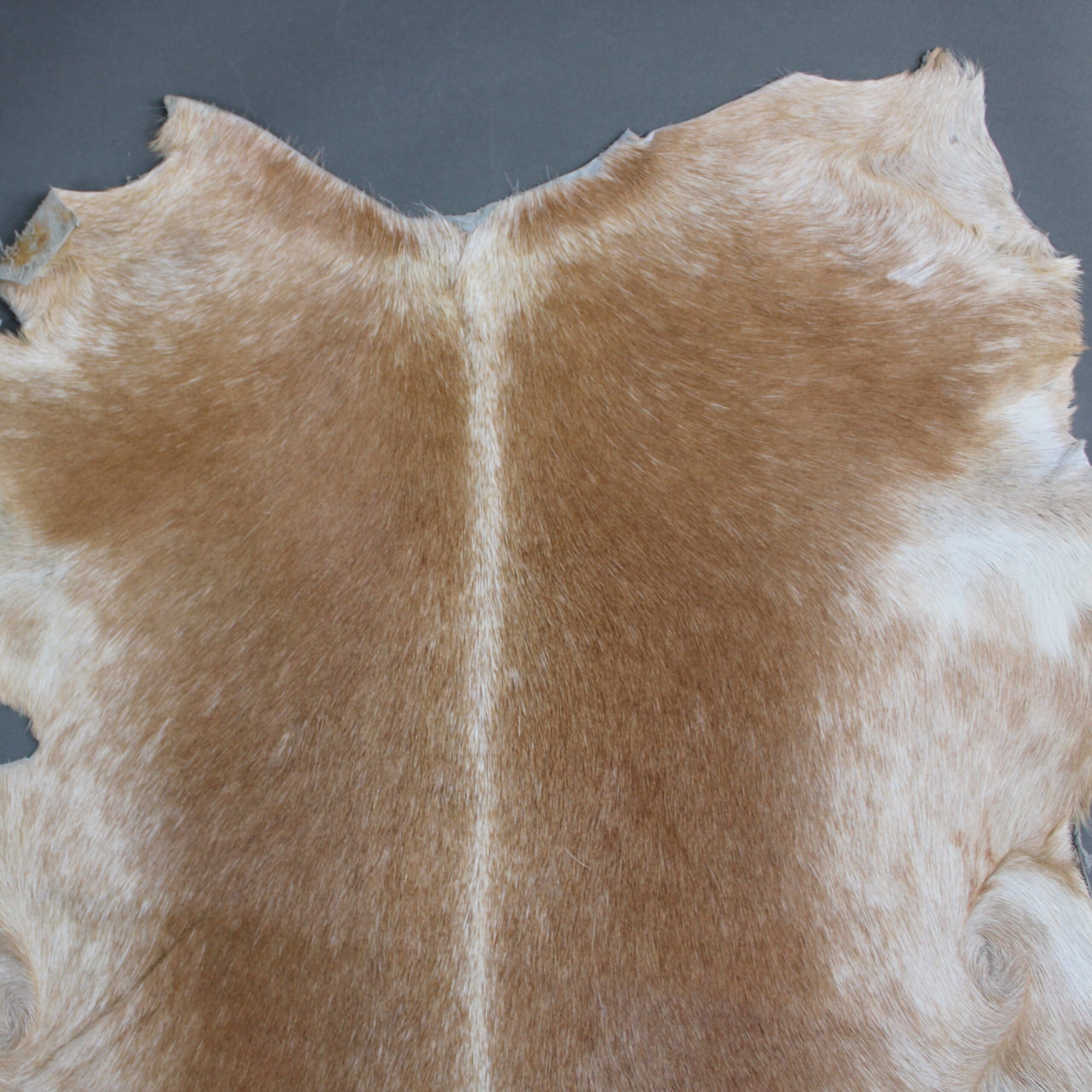 Goatskin Rug G1061 - Hide Rugs
