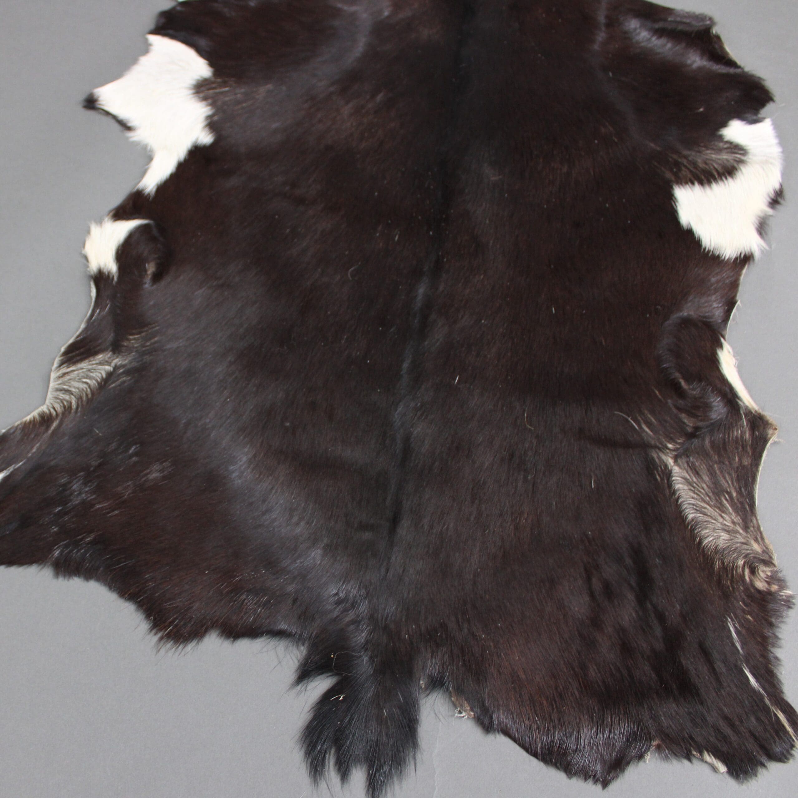 Natural Goatskin Rug - Brown, Ivory and Cream Hide