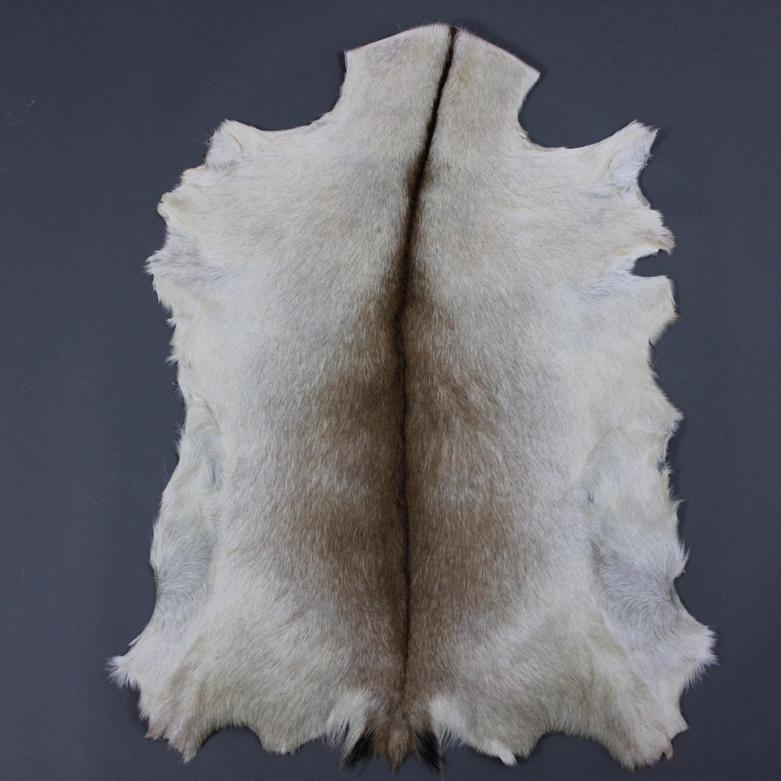Goatskin Rug G1072 - Hide Rugs