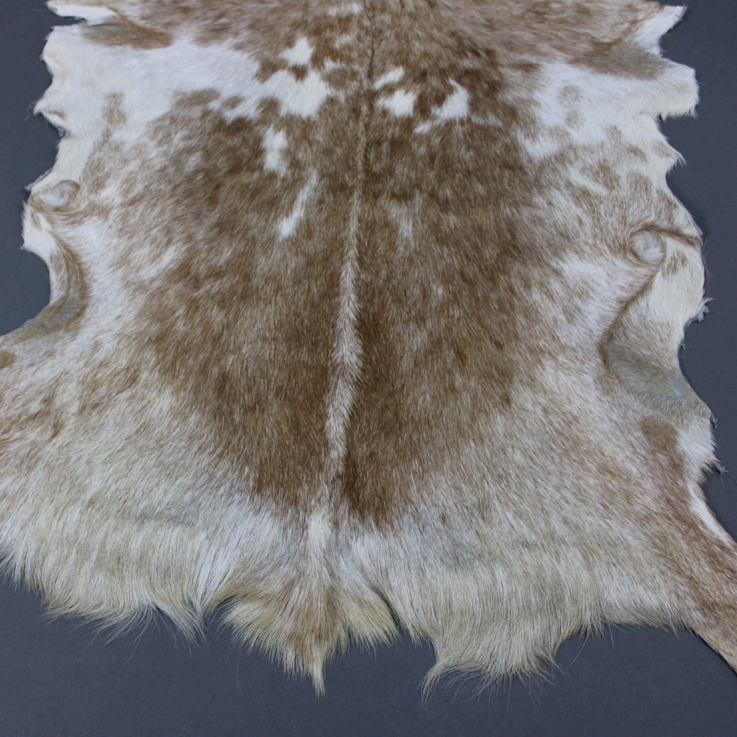 Goatskin Rug G1073 - Hide Rugs