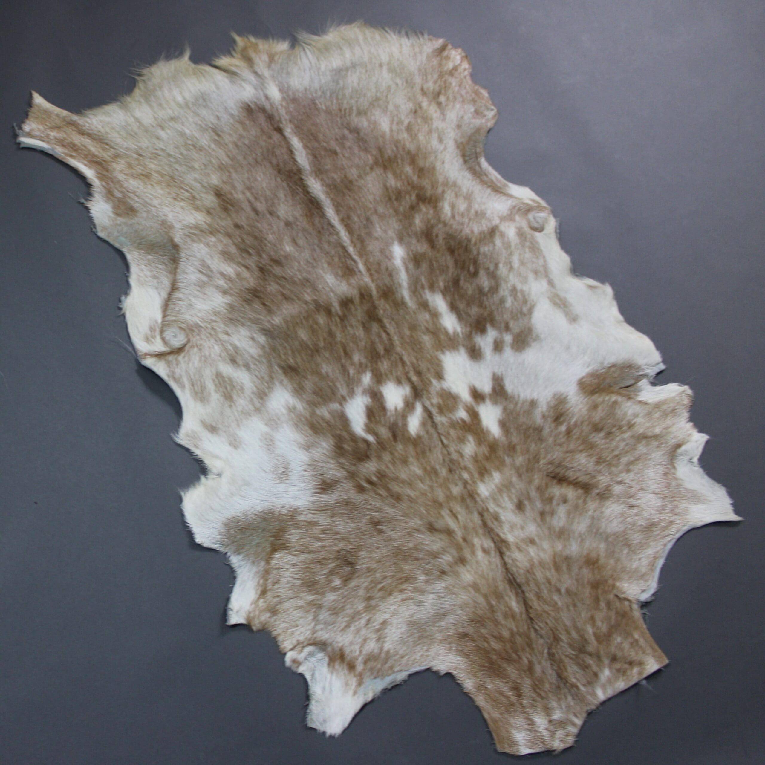Small Natural Goatskin Rug - Brown, Ivory and Cream