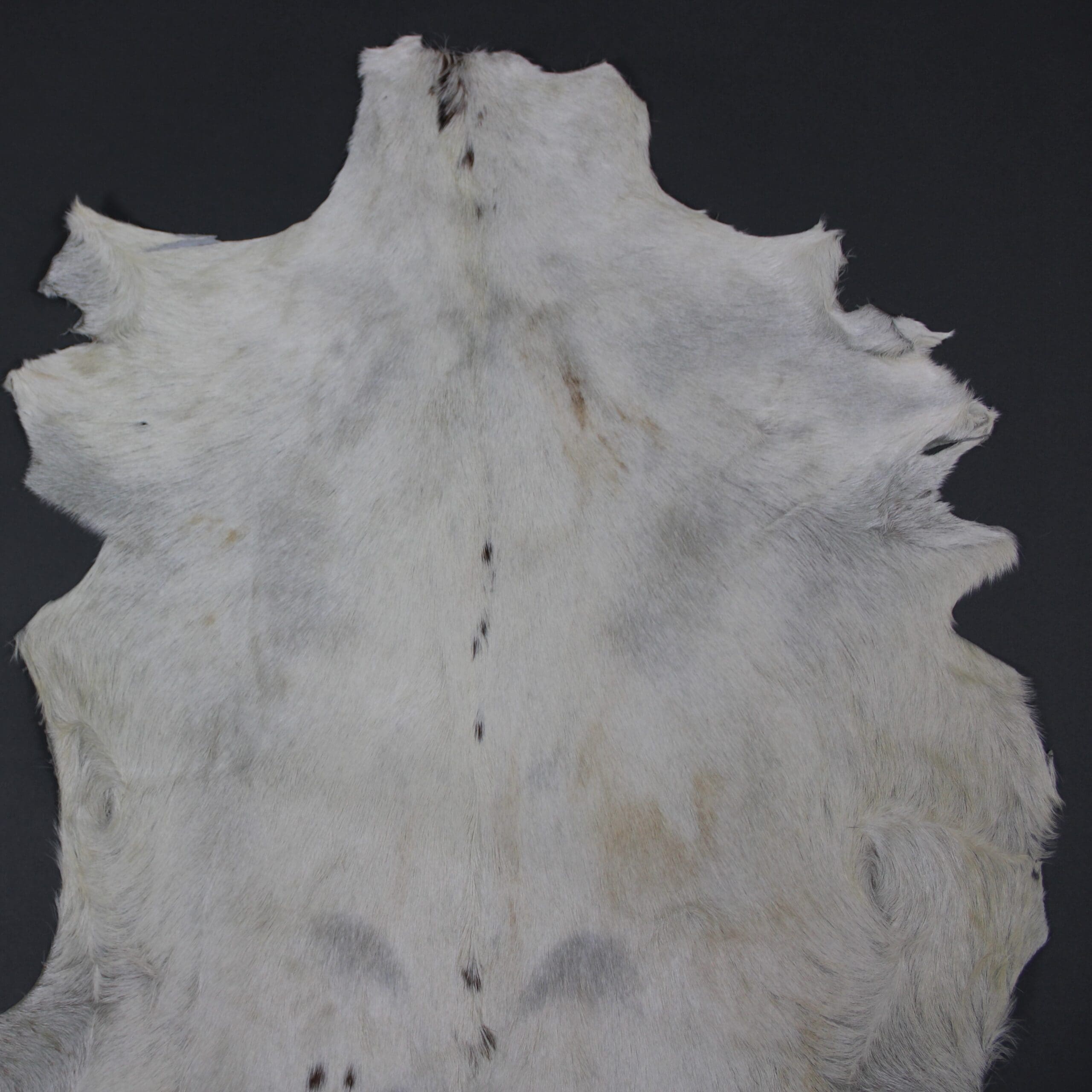 Small Natural Goatskin Rug - Brown, Ivory and Cream