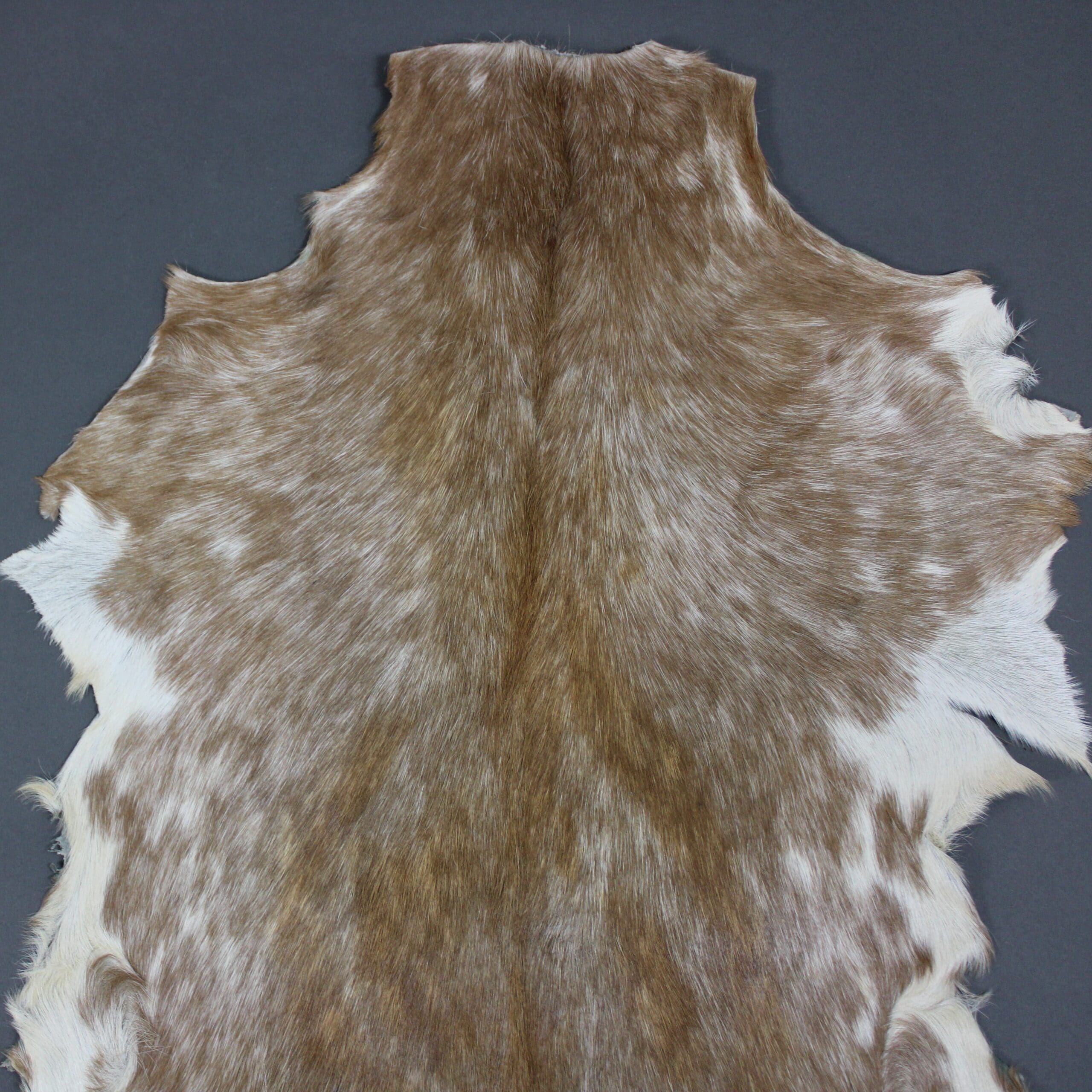 Goatskin Rug G1075 - Hide Rugs