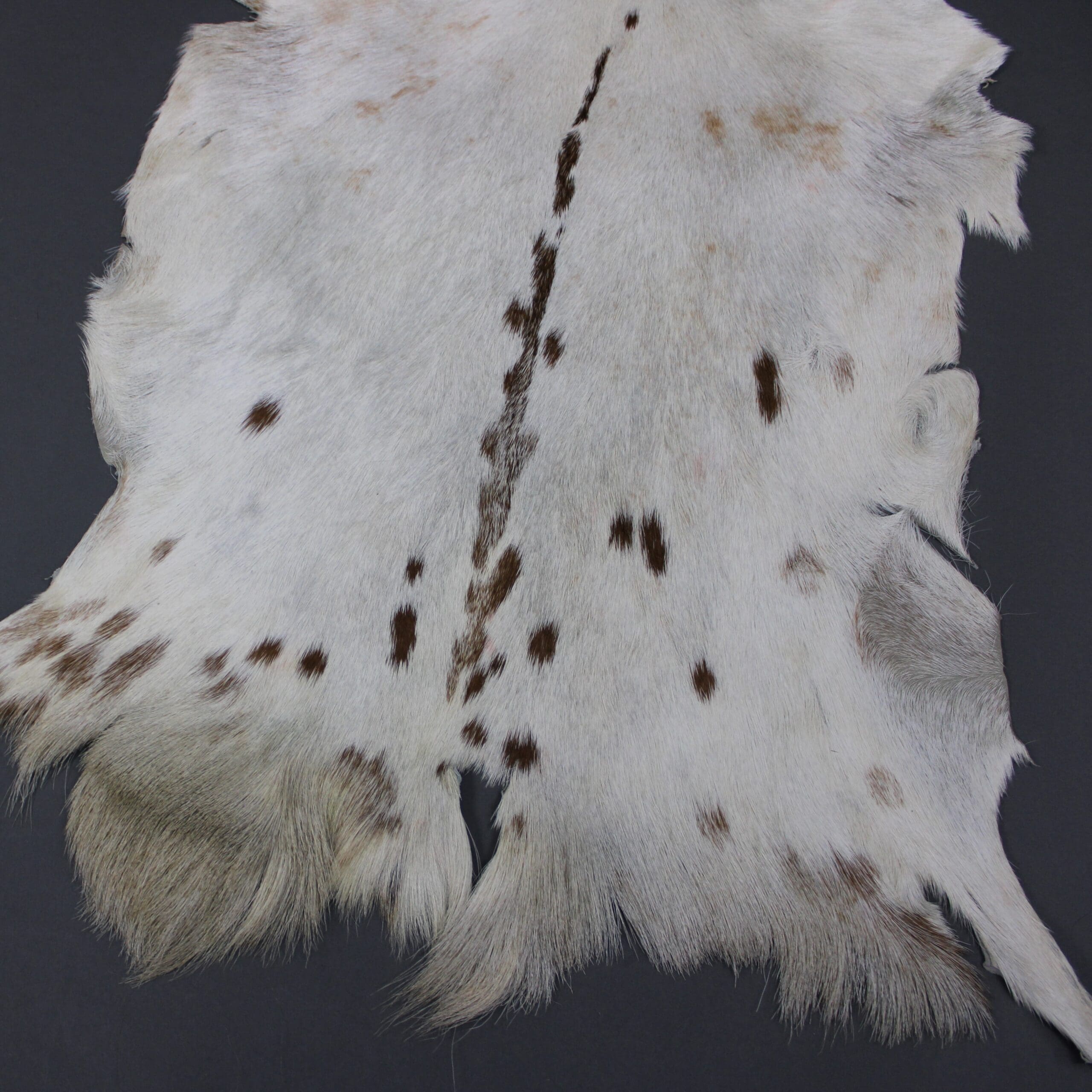 Small Natural Goatskin Rug - Brown, Ivory and Cream