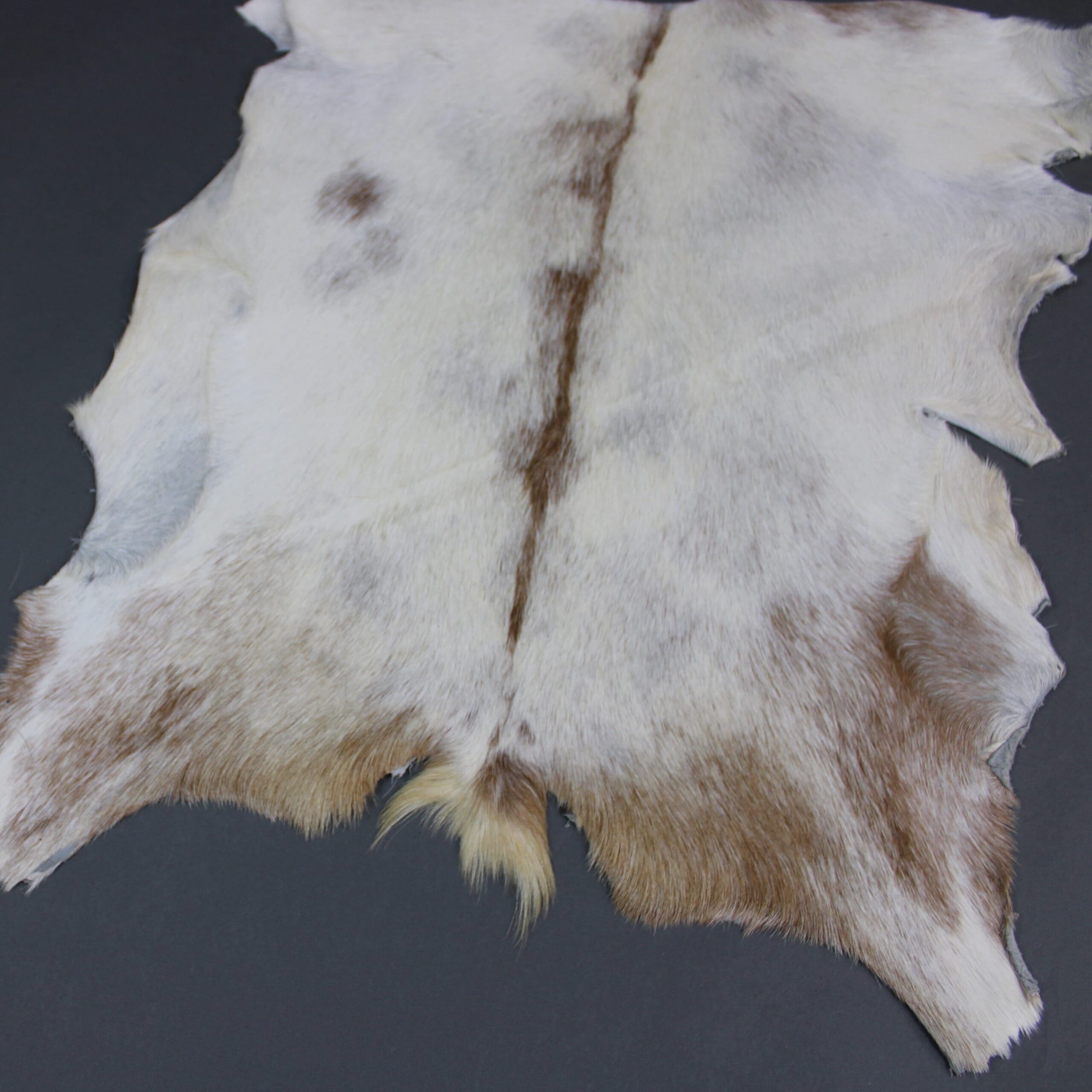 Small Natural Goatskin Rug - Brown, Ivory and Cream