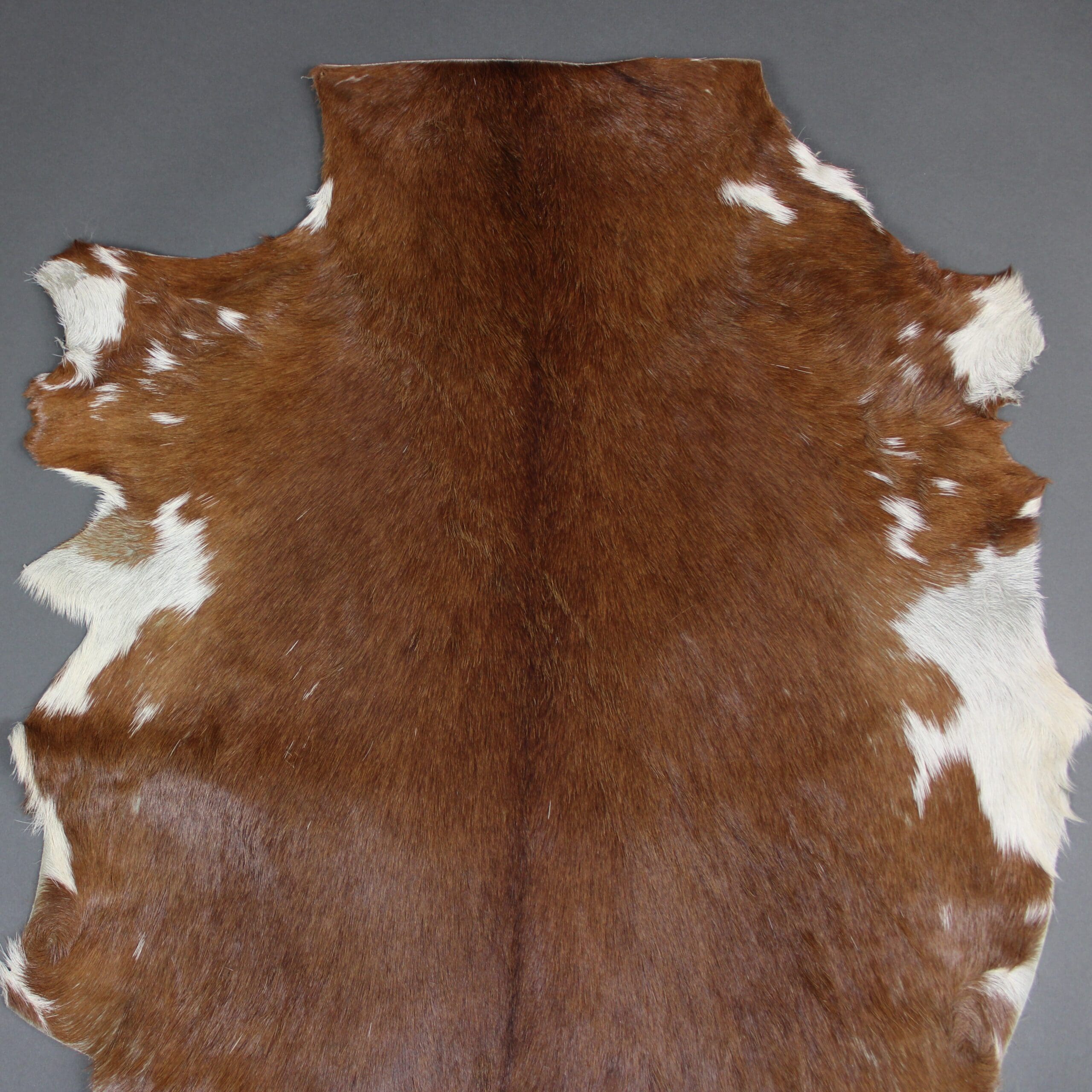 Goatskin Rug G1080 - Hide Rugs