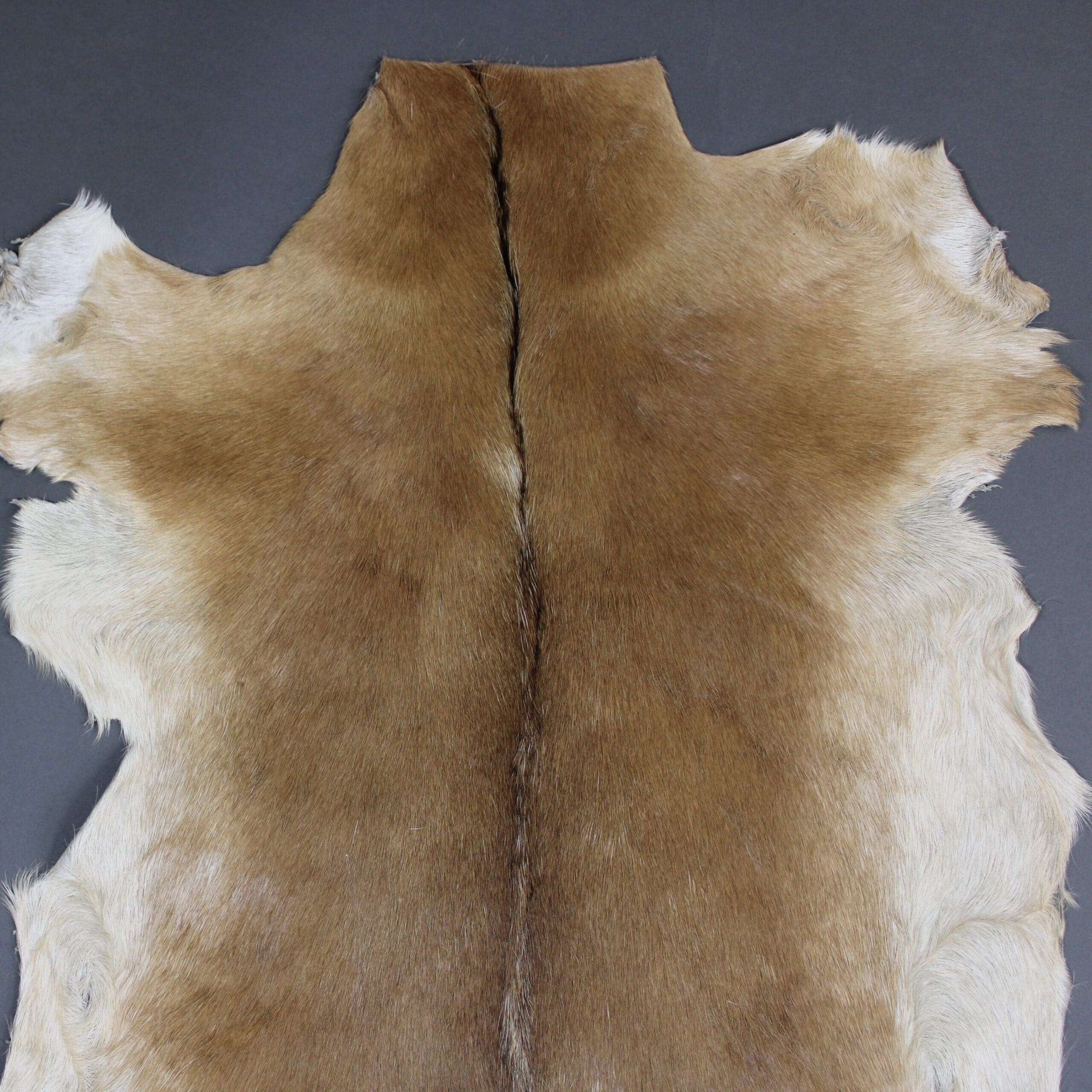 Goatskin Rug G1086 - Hide Rugs