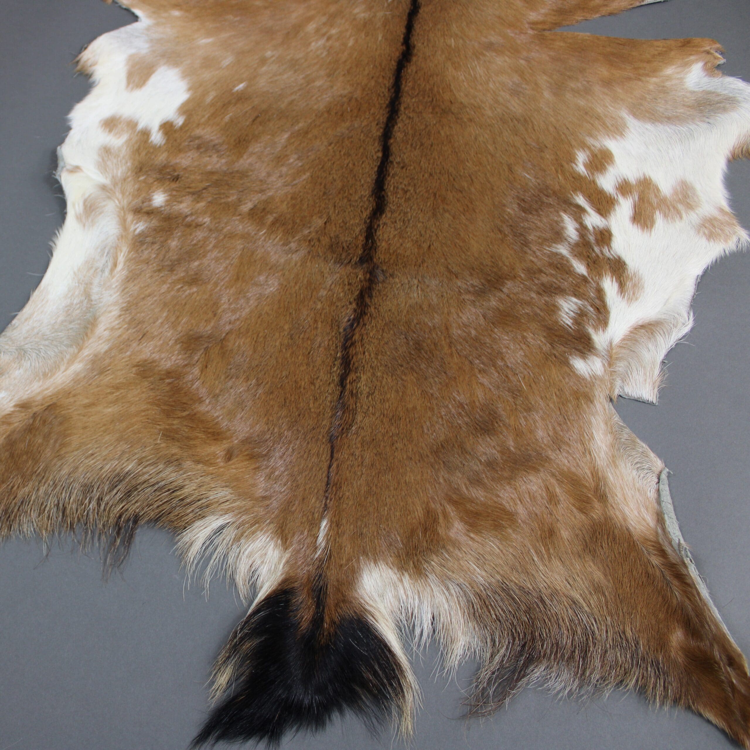 Small Goatskin Rug - Natural Brown and Cream Hide Rug