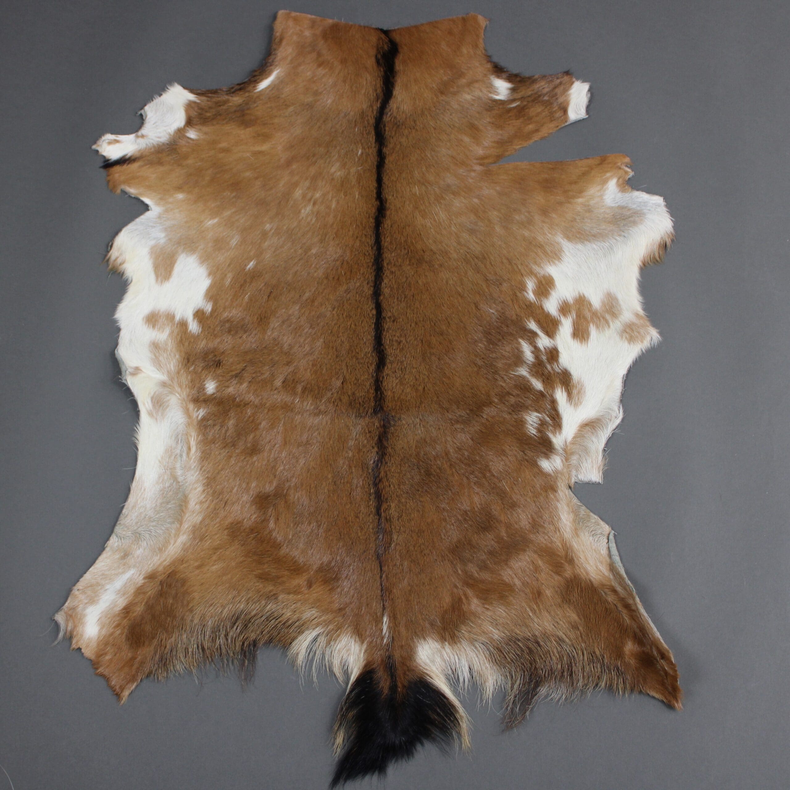 Small Goatskin Rug - Natural Brown and Cream Hide Rug