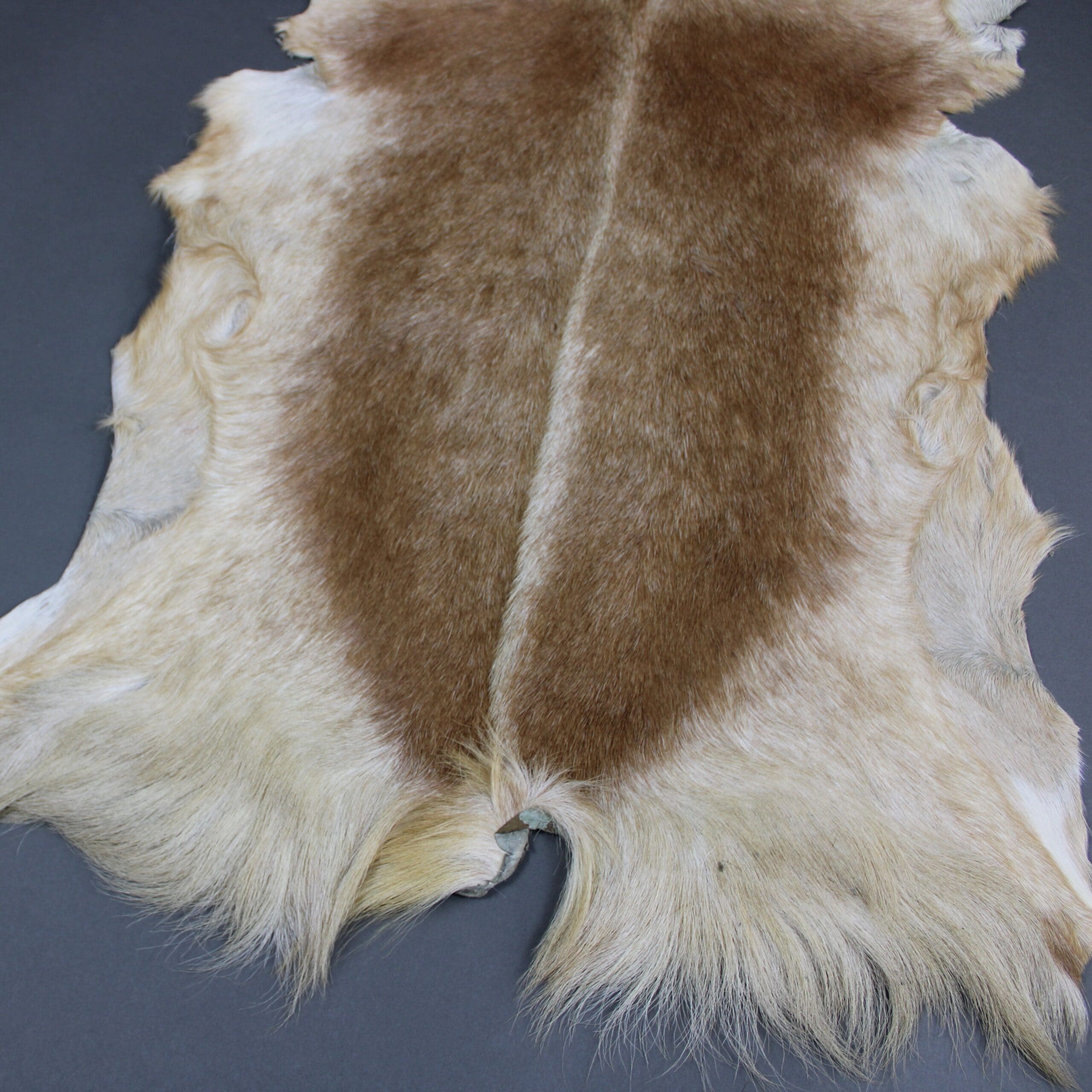 Natural Brown and Ivory Small Goatskin Hide Rug UK