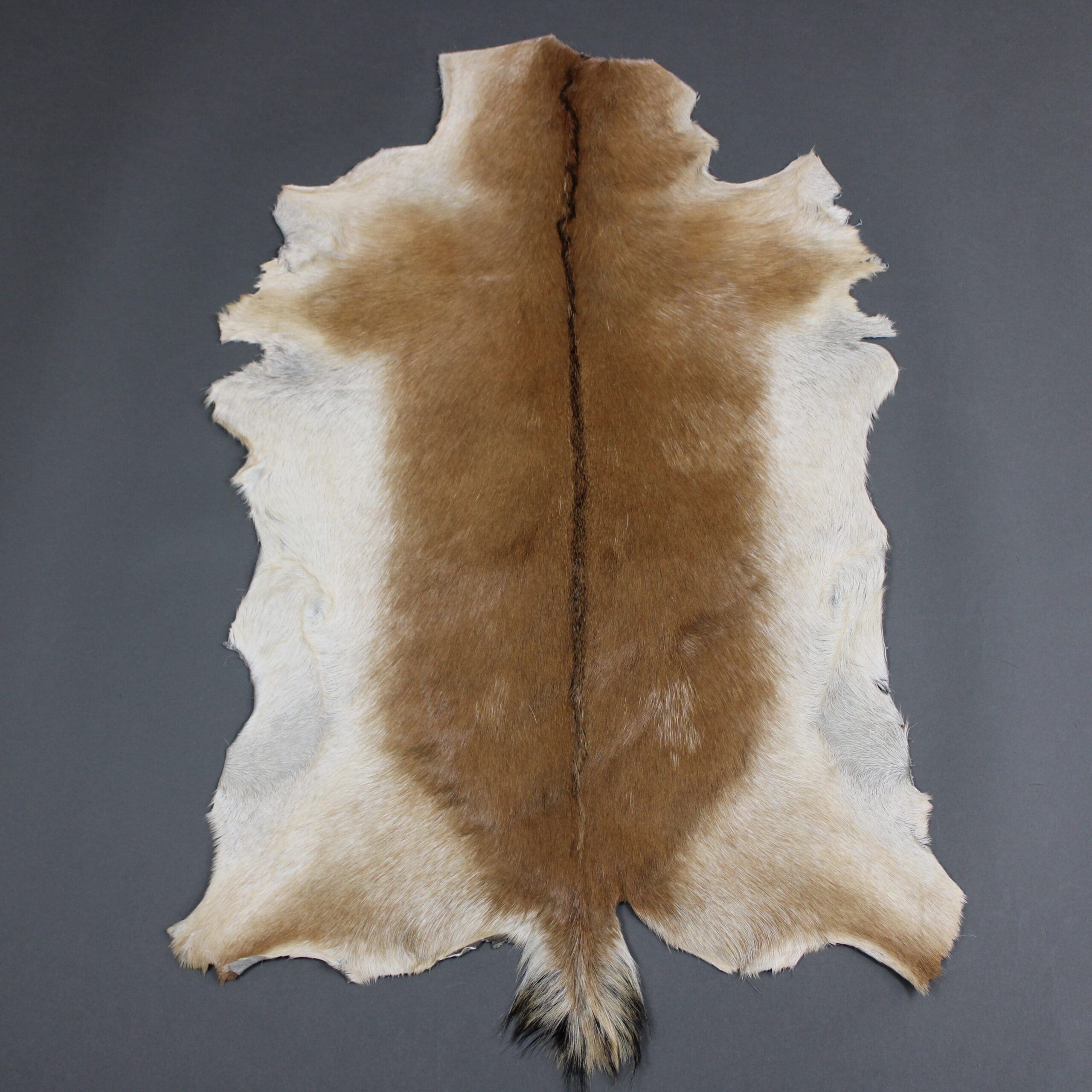 Small Natural Goatskin Rug - Brown, Ivory and Cream