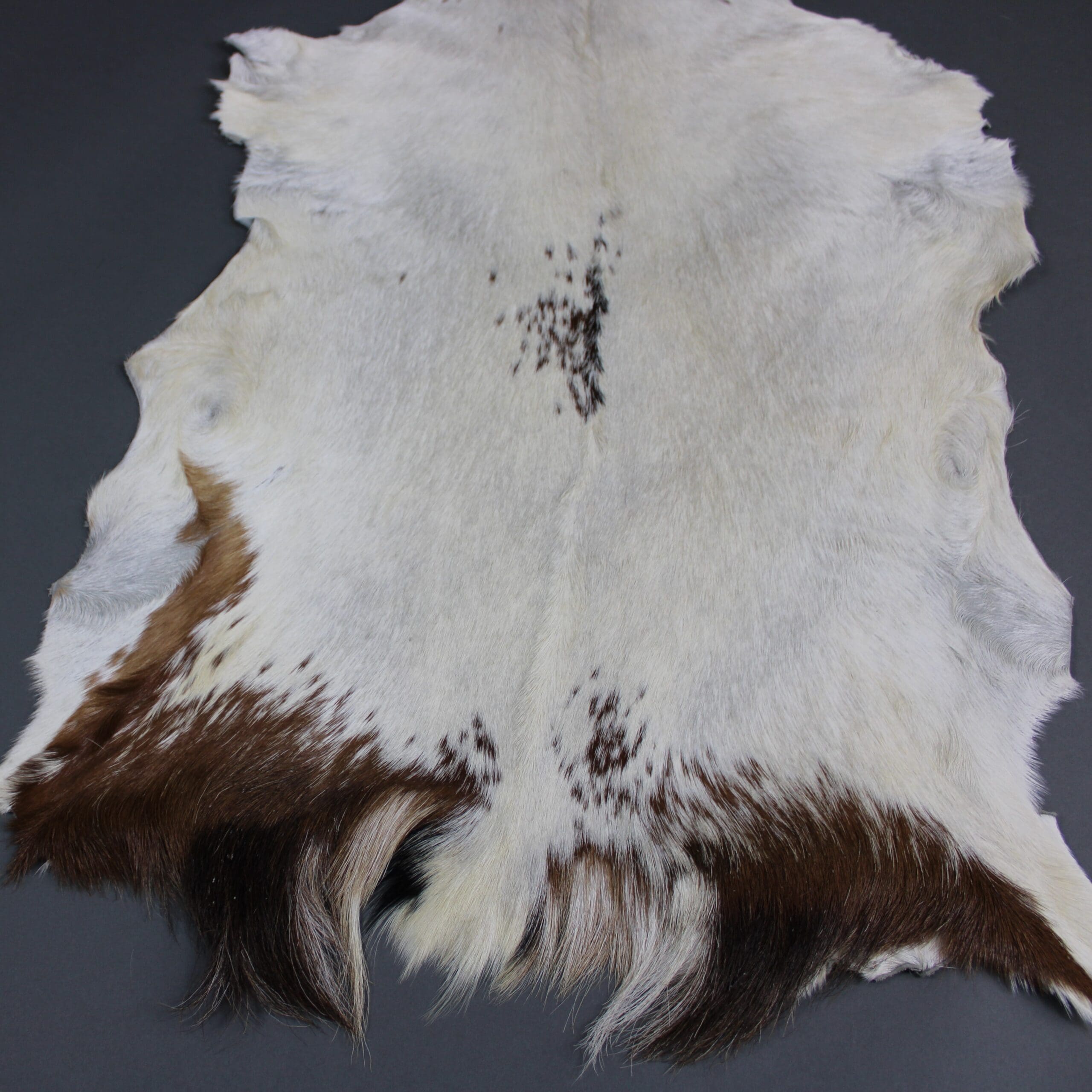 Small Goatskin Rug - Natural Brown and Cream Hide Rug