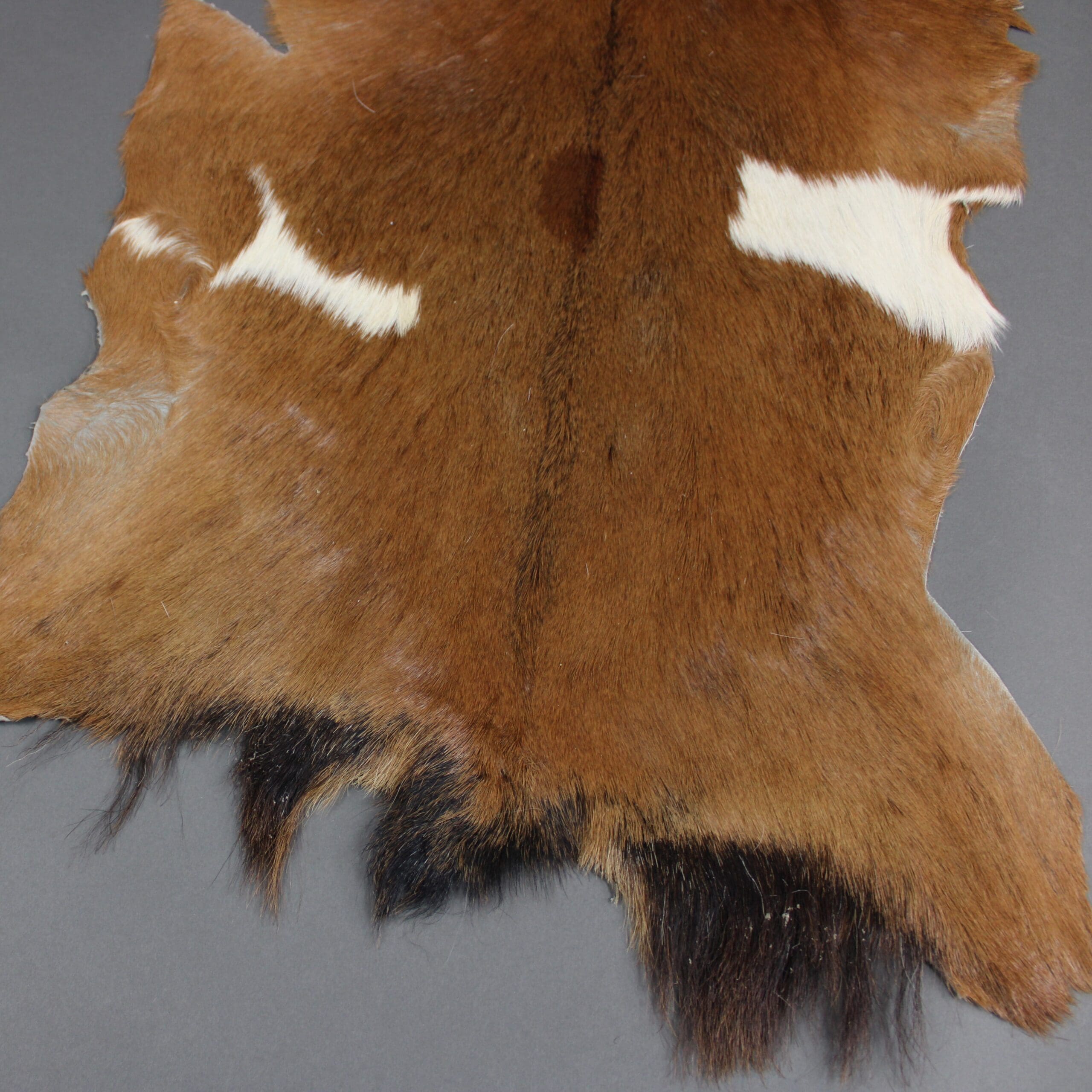 Goatskin Rug G1095 - Hide Rugs