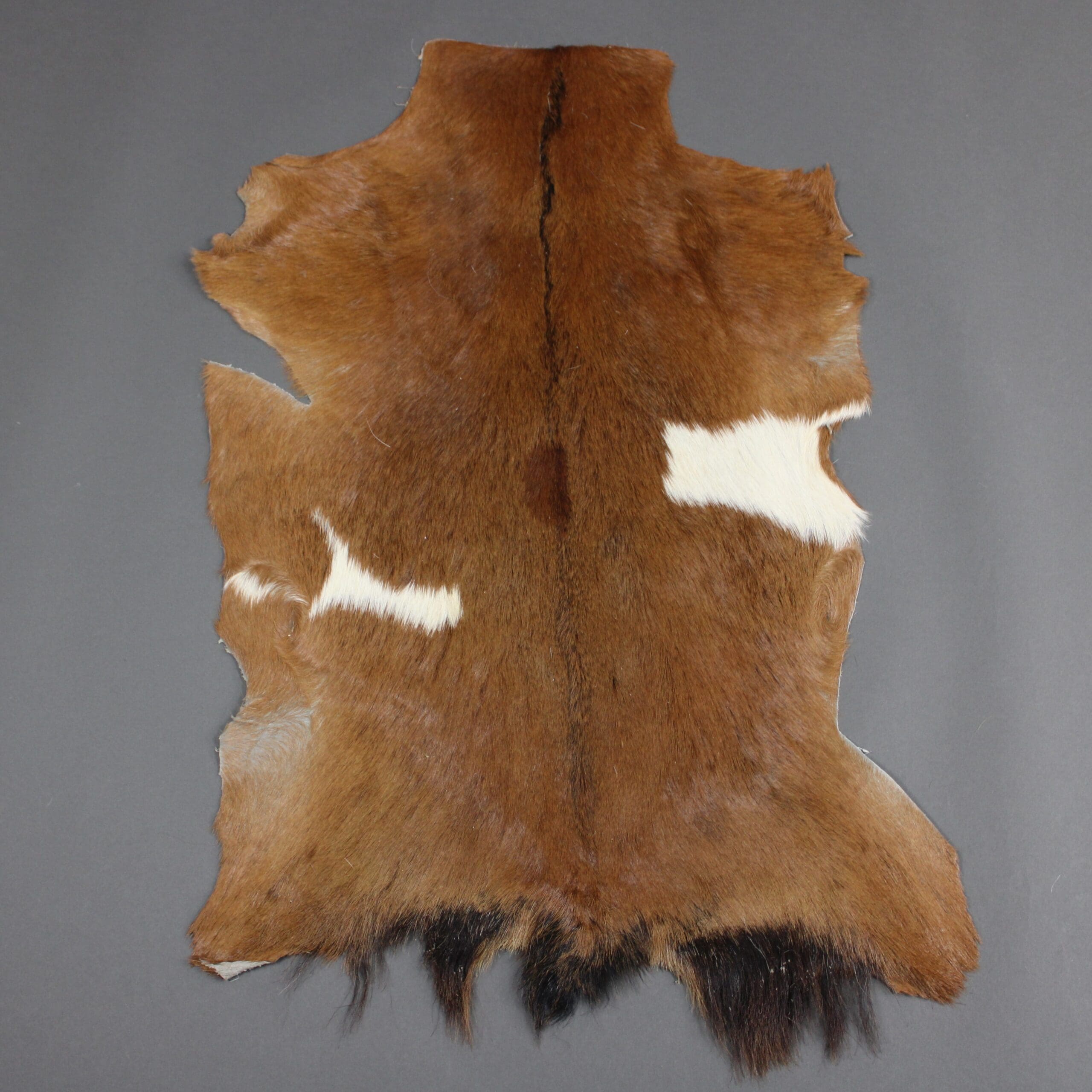 Small Goatskin Rug - Natural Brown and Cream Hide - Natural Fur