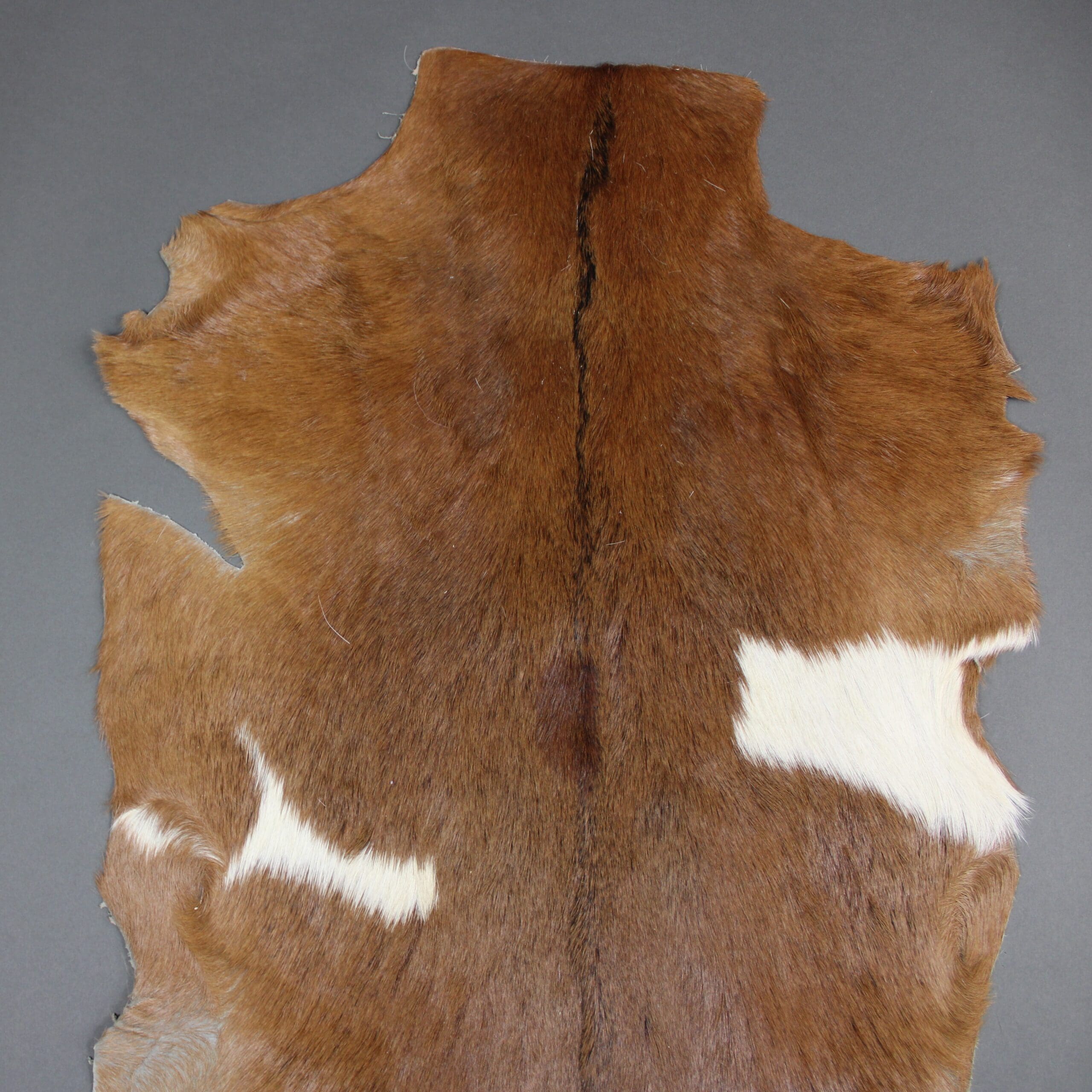 Goatskin Rug G1095 - Hide Rugs