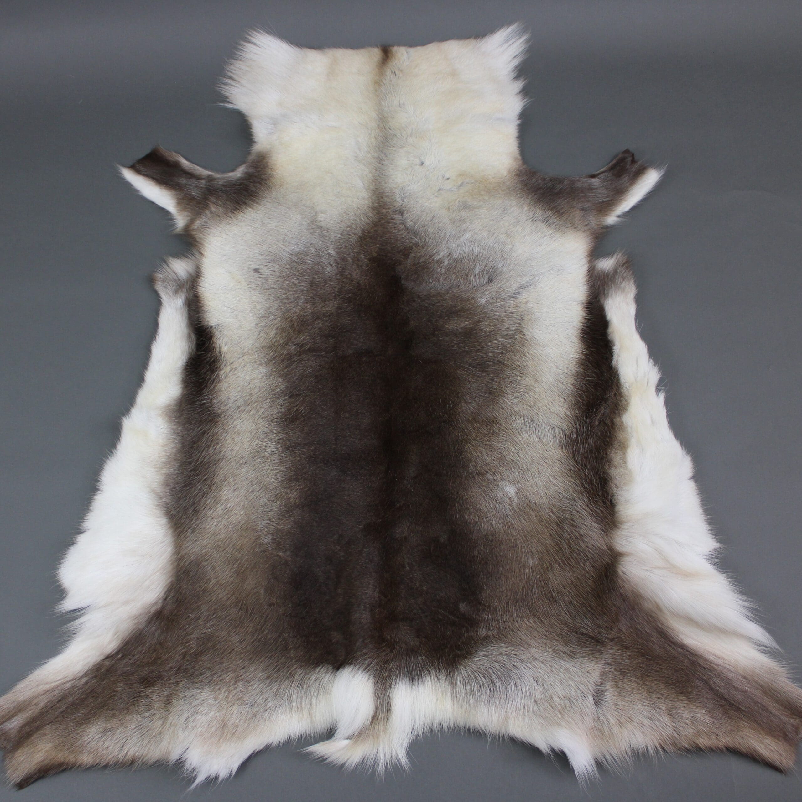 Large Reindeer Hide Rug R1206 - Hide Rugs