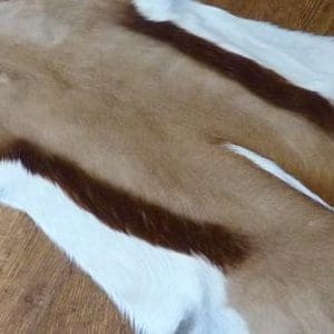 Springbok Hides - Hide Rugs